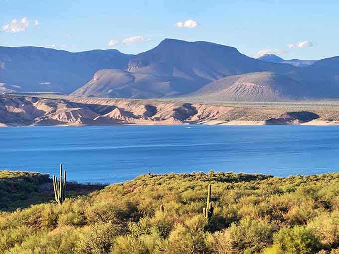 Saguaros standing guard over Roosevelt Lake's brilliant blue water — only in Arizona does this combination exist.
