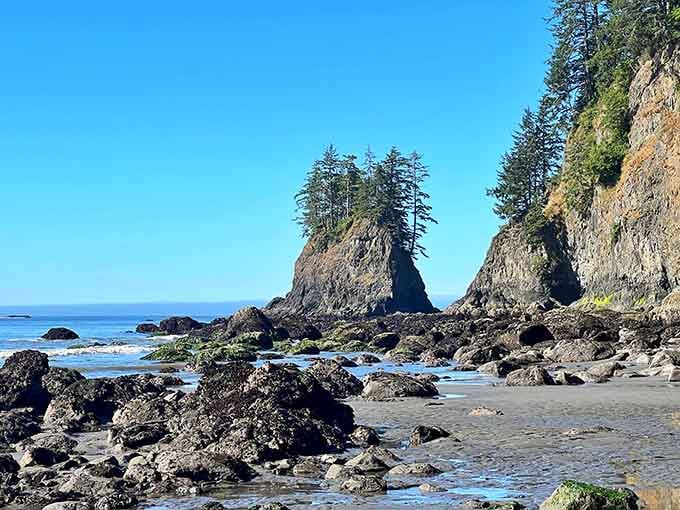 Sea stacks rise from the Pacific like nature's own chess pieces waiting for giants to make their move.