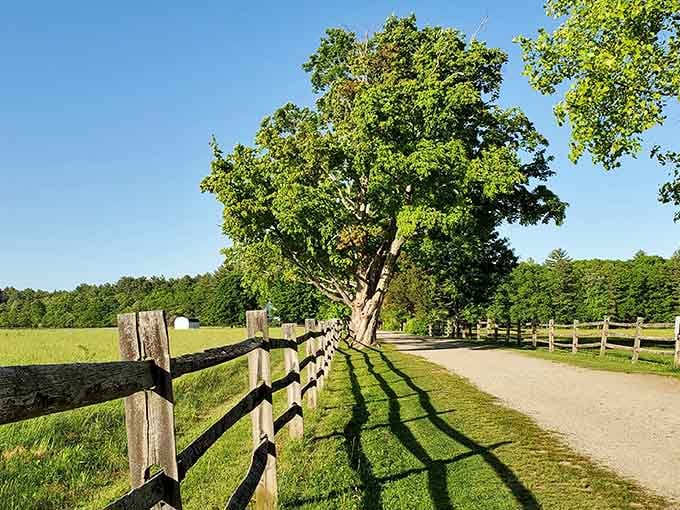 Split-rail fences cast long shadows across manicured fields, framing a landscape that looks like it stepped from a Wyeth painting.