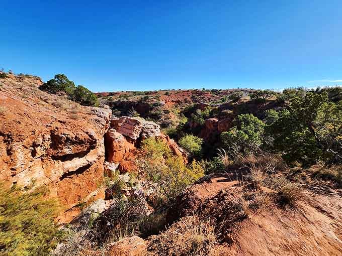 Twisted rock formations and desert vegetation create a rugged landscape that feels both ancient and alive with possibility.