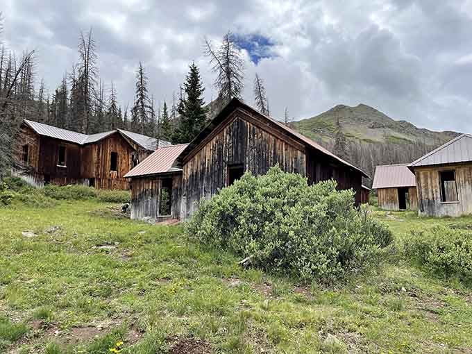 Weathered boards and empty doorways tell Carson Ghost Town's whole story, a place where ambition met altitude and the mountain won.