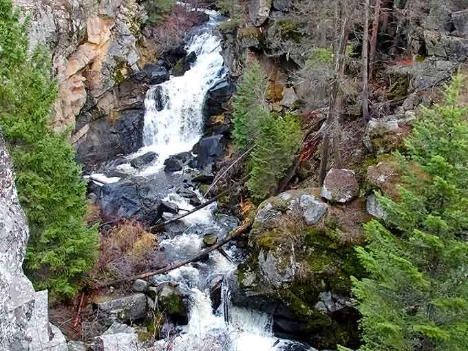 Watch the rushing water cascade down a rugged rocky canyon, beautifully framed by mossy stones and bright green evergreen trees.