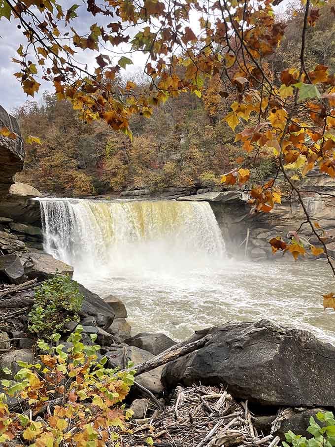 Golden autumn leaves frame the falls perfectly, creating a scene worthy of every camera roll you've got.