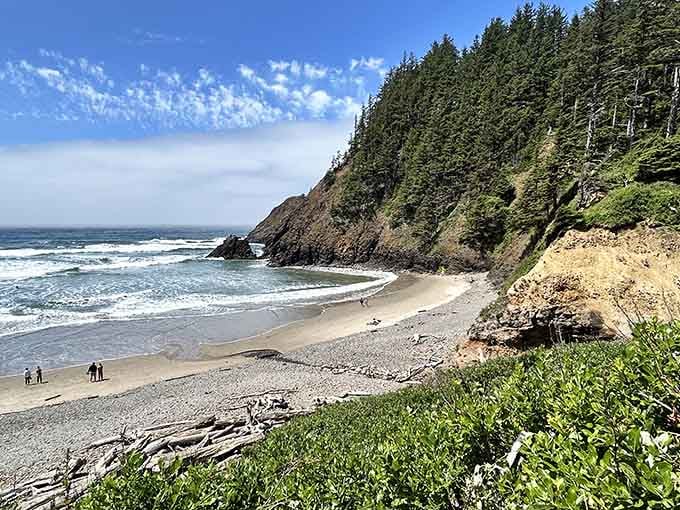 Secluded cove beaches nestle between forested headlands, creating the kind of scenery that belongs on calendars.