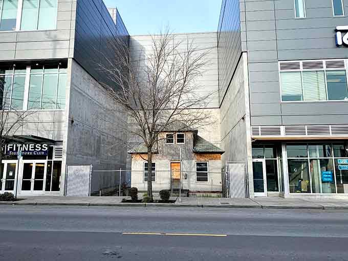 From across the street, the Macefield house looks like a stubborn little punctuation mark between two giant paragraphs of glass and steel.