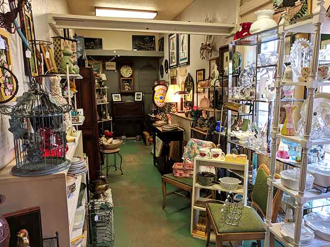 Green floors and eclectic displays create a cozy maze where every turn reveals another delightful surprise waiting to be discovered.