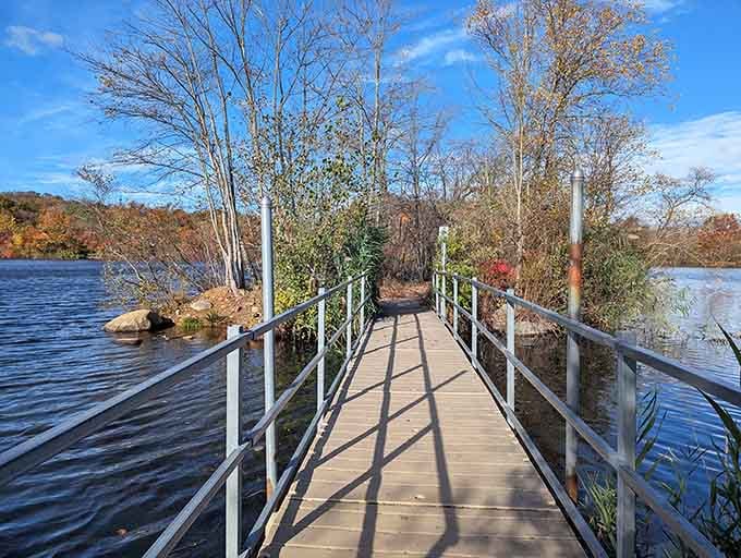 This dock stretches into blue water like a pathway to peace, with autumn colors waving goodbye.