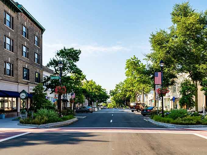 Lush summer trees arch over a wide, flag-lined boulevard, giving Greenwich Avenue the kind of graceful, unhurried grandeur that makes you slow your pace automatically.
