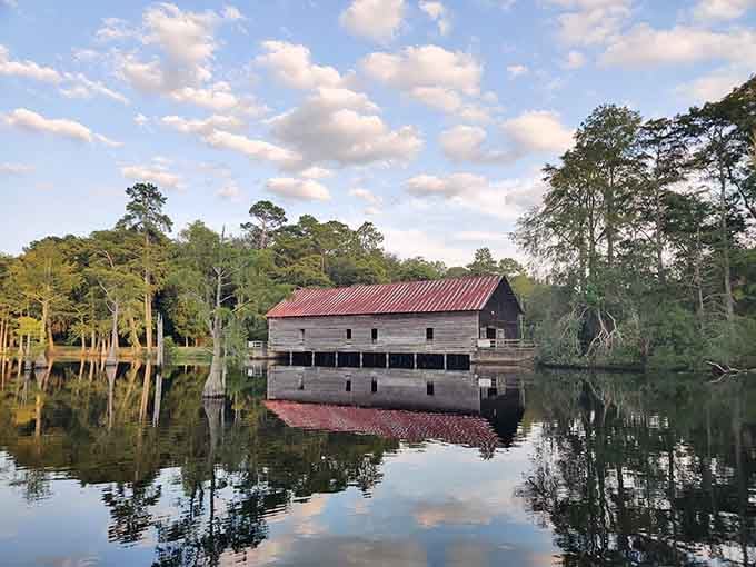Cypress trees and still water create a moody Southern Gothic atmosphere that Flannery O'Connor would absolutely appreciate and admire.