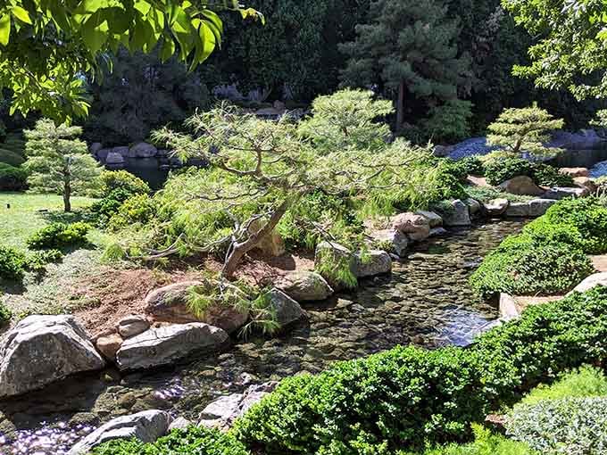 A gracefully bent pine arches over a babbling stone stream, whispering that patience and beauty go together.