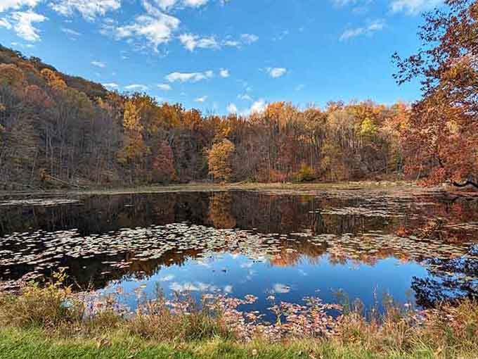 A lily-pad pond mirroring fiery autumn hills, Jenny Jump delivers scenery straight out of a Monet painting.