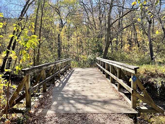 This sun-dappled wooden footbridge through the Big Woods feels like the opening scene of every great adventure story ever told.