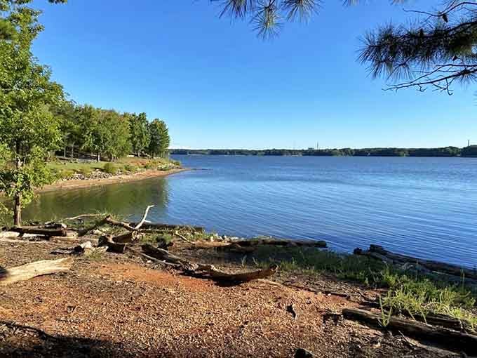 Kerr Lake stretches wide and blue beyond Occoneechee's rocky shoreline, looking impossibly peaceful on a clear summer morning.