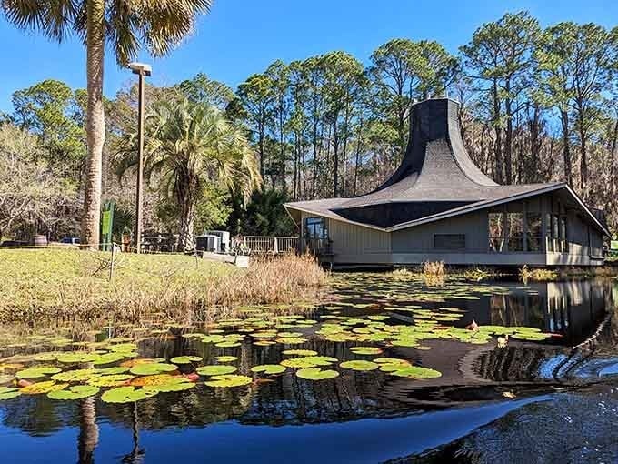 That distinctive building sits among lily pads like a modern sculpture dropped into a prehistoric landscape painting.