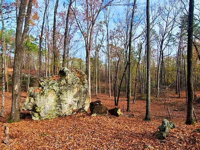 A mossy boulder resting among copper-leafed trees at Peachtree Rock looks like it simply sat down one day and never left.