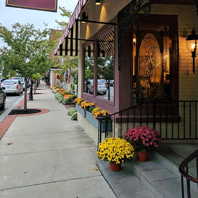 Autumn mums in gold and magenta line Roanoke's sidewalk, turning an ordinary evening stroll into something genuinely lovely.