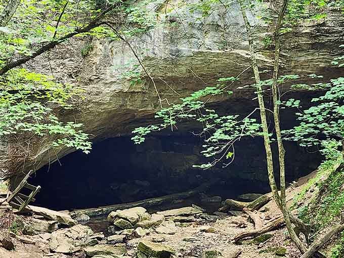 The mysterious darkness framed by rock and fresh spring leaves creates an almost mystical scene.