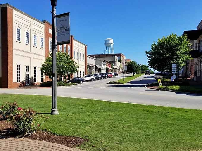 A "Welcome to Senoia" banner stands tall against a cloudless sky, framing a water tower that's become its own kind of landmark.