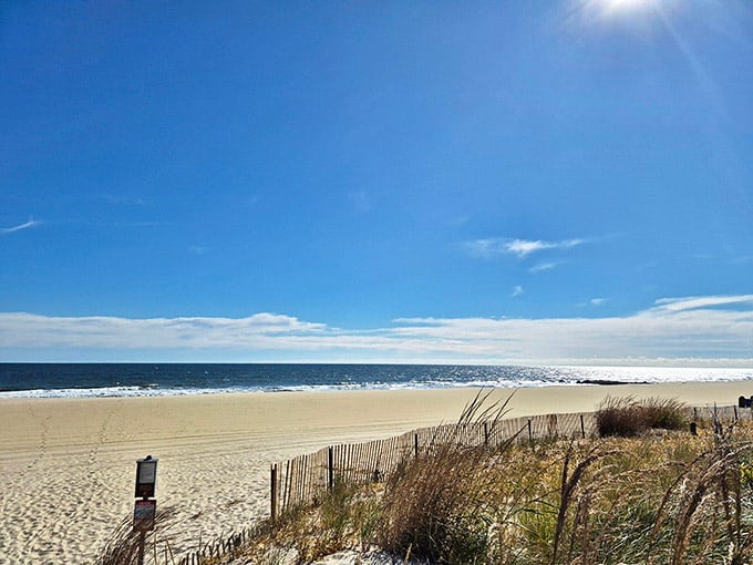 Beach grass sways behind protective fencing as the Atlantic sparkles like diamonds under brilliant sunshine.