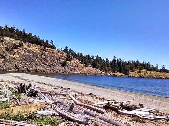 Driftwood sculptures line the shore like nature's own art gallery, each piece weathered to silvery perfection.