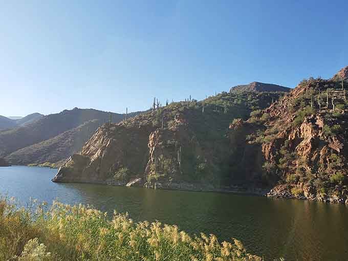 Roosevelt Lake's green cliffside, draped in saguaros and golden grasses, proves the desert has serious range.