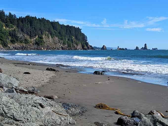 Driftwood and tide pools scatter across this wild beach where the ocean writes poetry in sand and stone.