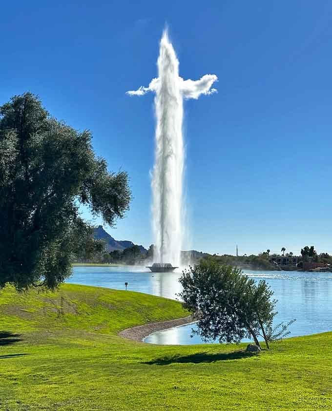 The fountain erupts beside peaceful green lawns, creating the kind of contrast that makes you smile every time.