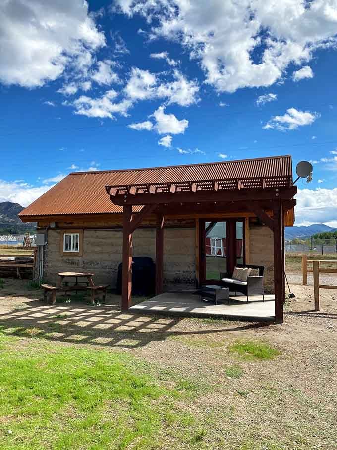 Corrugated metal roofing provides shade while you sip coffee and contemplate whether alpacas make better companions than people.