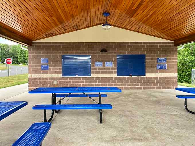 A proper pavilion with blue picnic tables, a wooden ceiling, and enough shade to make any parent happy.