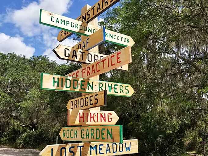 This colorful trail marker proves that even directional signs can have personality when someone puts thought into them.