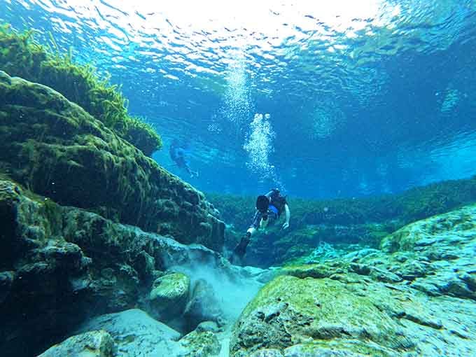 Below the surface, Alexander Springs looks like something straight out of a Jacques Cousteau film. Absolutely breathtaking.