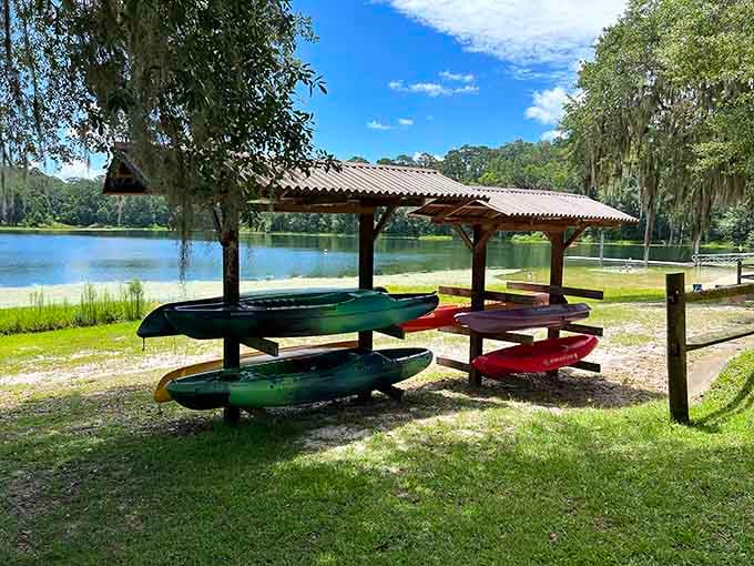 Kayaks lined up and ready to go, because sometimes the best way to see a beautiful lake is from the middle of it.