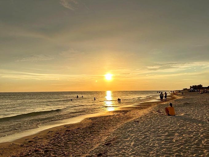 Few beachgoers, a golden horizon, and the Gulf swallowing the sun whole. Anna Maria Island sunsets are genuinely unfair to the rest of Florida.