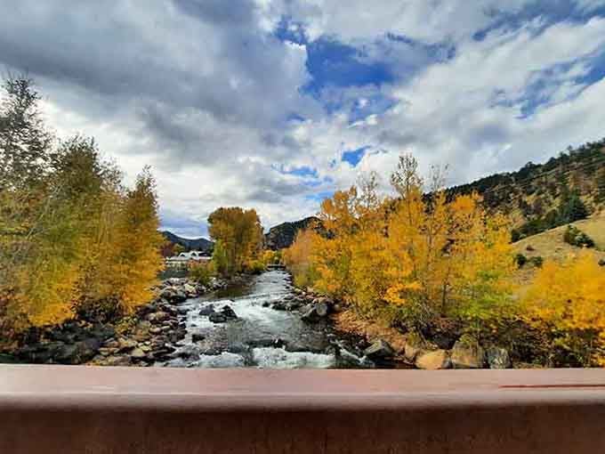 Clear Creek in full autumn glory. Nature decided to match the gold rush theme, and nailed it completely.