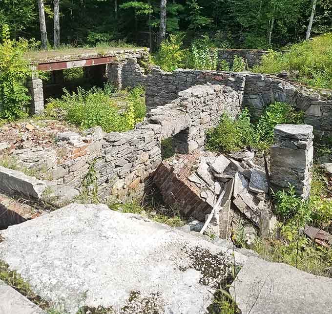 Nature has been slowly reclaiming these stone walls for years, and honestly, she's doing a pretty remarkable job of it.