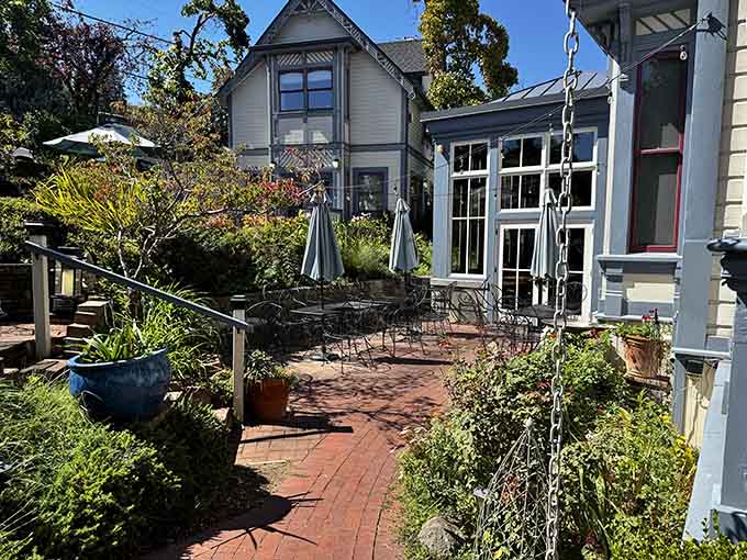 Alchemy Restaurant's garden patio is the kind of spot where a two-hour lunch feels completely justified and deeply necessary.