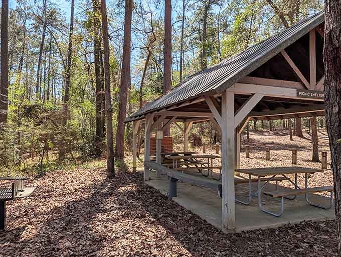 A covered picnic shelter surrounded by towering longleaf pines. This is where sandwiches taste inexplicably better than anywhere else on earth.