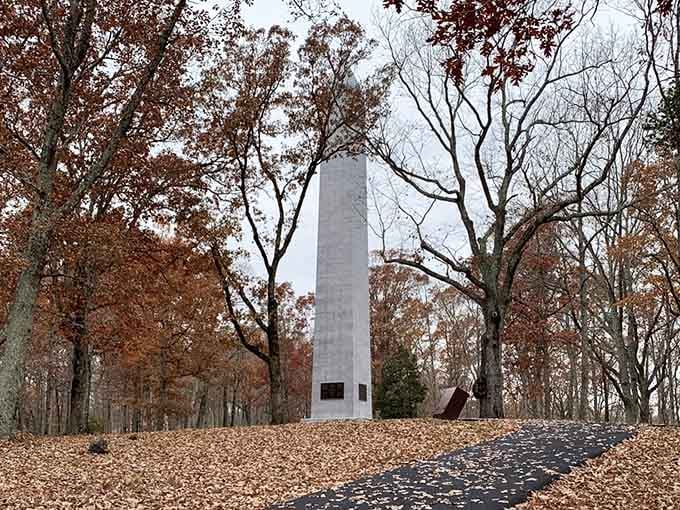 Autumn transforms the monument into something almost ethereal, where falling leaves meet rising history in perfect harmony.