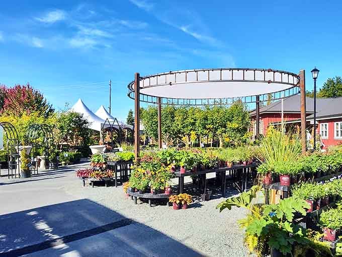 On a clear day, Bayview Garden looks like someone planted a dream and just kept watering it.