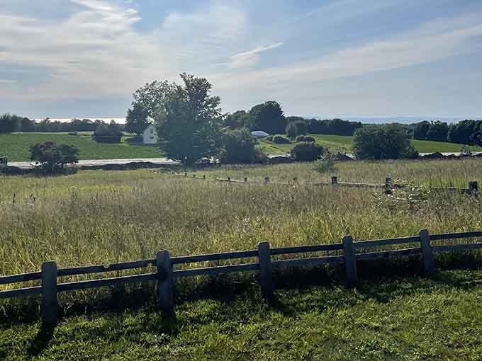 Rolling fields, a weathered fence, and Lake Michigan shimmering in the distance. Your beer tastes better with a view like this.