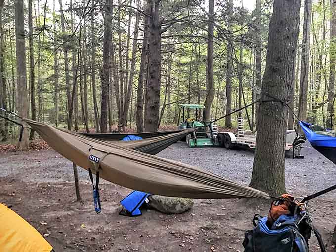 Hammocks strung between ancient trees. Your back will thank you, and your soul will too.