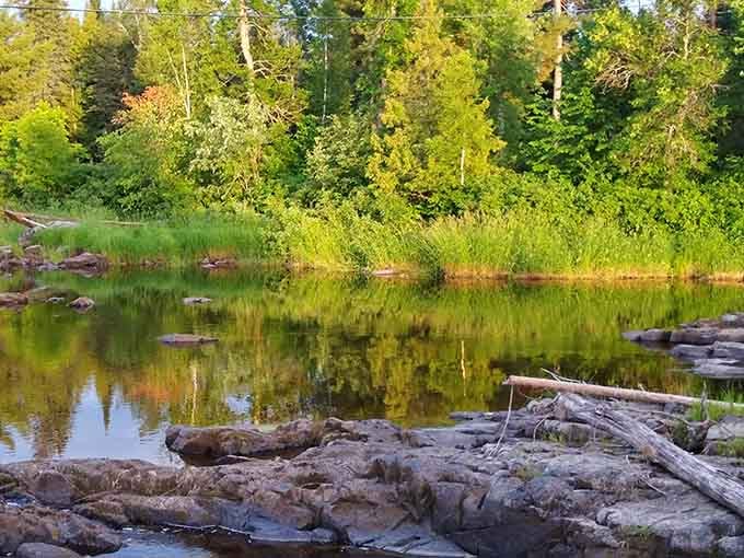 Still water, tall grass, and driftwood at Big Falls Campground, a quiet corner that earns its own postcard.