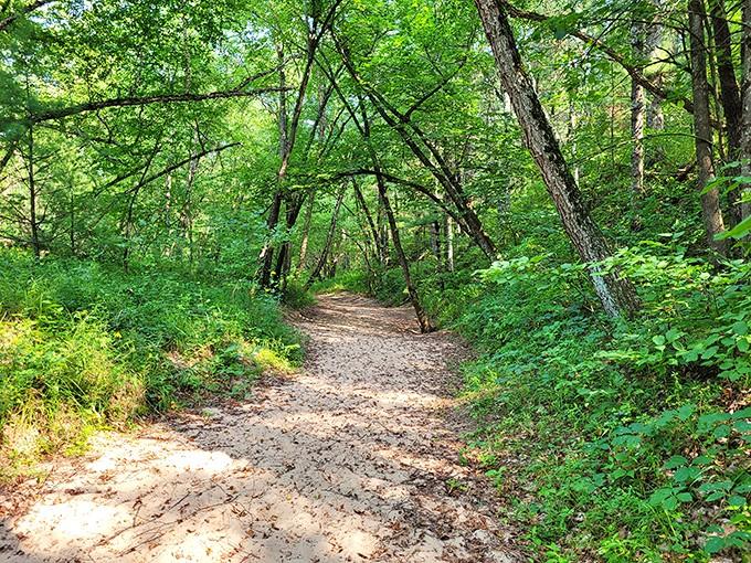 The path less traveled looks pretty inviting when it's this well-maintained and shaded, doesn't it?