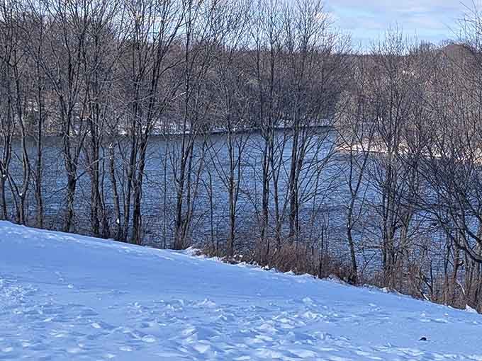 Snow on the hillside, blue water through bare branches, winter at Black Hill is quietly, unexpectedly stunning.