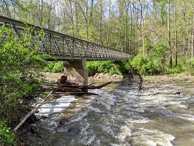 Brandywine Creek rushing under the footbridge, full of energy and completely unbothered by your busy schedule.