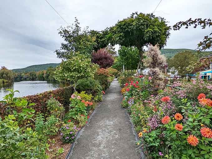 Orange dahlias and climbing greenery line the pathway, making every single step feel like a reward.