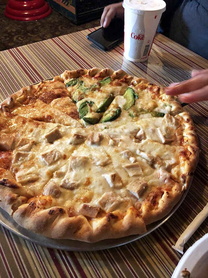 Chicken and avocado on a white pizza so large it practically needs its own zip code.