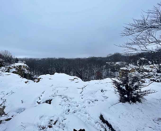 Winter transforms the bluffs into a scene so beautiful, you'll almost forgive Illinois for having actual winter.
