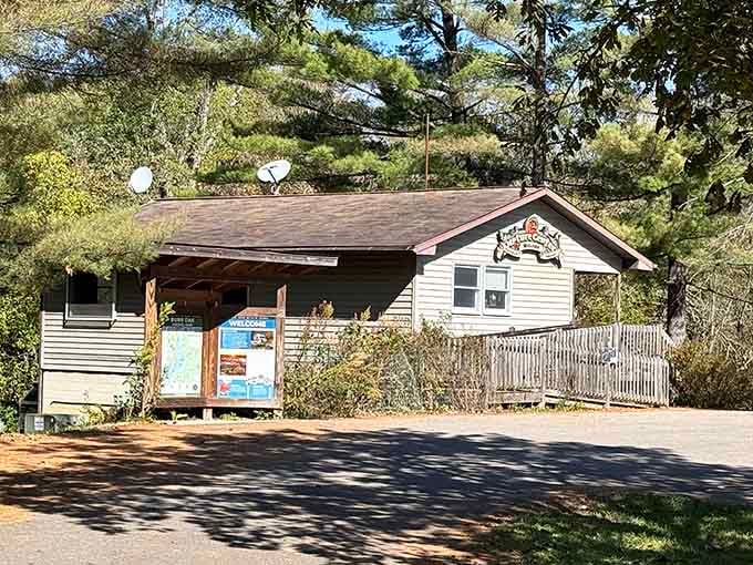 The nature center stands ready to answer your wildlife questions and settle family debates about bird identification.