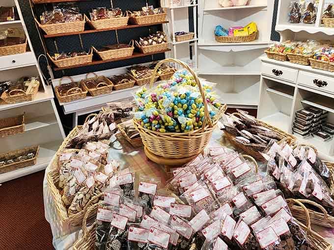 Colorful candy-coated treats and individually wrapped chocolates arranged like a still life painting you want to eat.